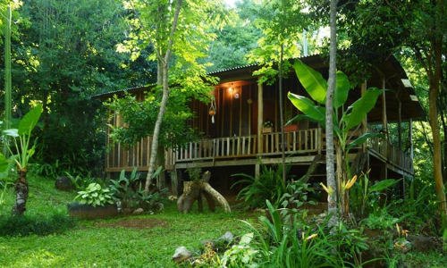 CABAÑA COATI LODGE - Turismo | El Soberbio | Misiones | Argentina